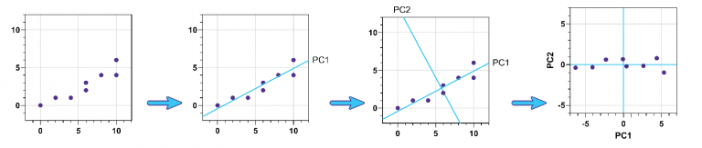 GraphPad Prism - Ritme