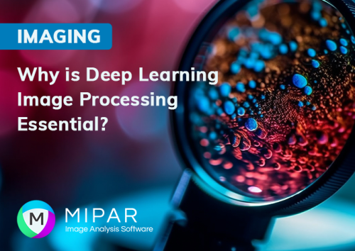 Mipar: image analysis software powered by artificial intelligence